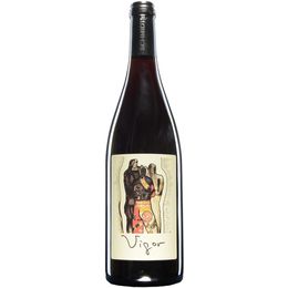 Weingut H. P. Schmidt Vigor Cabernet Dorsa 2008 Trocken - Malterdinger Bienenberg Baden &ndash; Rotwein Qualit&auml;tswein