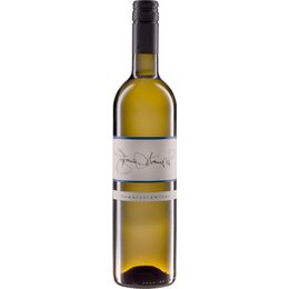 Weingut Scherr Gew&uuml;rztraminer 2024 S&uuml;&szlig; - Pfalz &ndash; Wei&szlig;wein Sp&auml;tlese