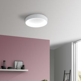 Wofi Cameron LED Deckenleuchte mit Dimmer und CCT &Oslash; 45 H: 11 cm, wei&szlig; 9417.01.06.9450