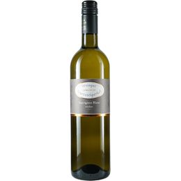Weingut Wartsteigerhof Sauvignon Blanc 2023 Trocken - Bechtheimer Hasensprung Rheinhessen &ndash; Wei&szlig;wein Qualit&auml;tswein