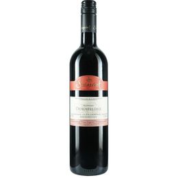 Weingut Steigerhof Dornfelder 2022 Feinherb - Harxheimer Rheinhessen &ndash; Rotwein Qualit&auml;tswein