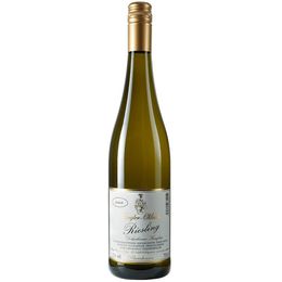 Weingut Andreas Biegler-M&uuml;ller Riesling 2020 Feinherb - Dolgesheimer Kreuzberg Rheinhessen &ndash; Wei&szlig;wein Qualit&auml;tswein