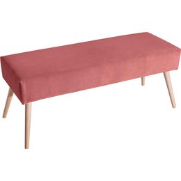 Sitzbank Max Winzer "Sit" Sitzbänke Gr. B/H/T: 114 cm x 48 cm x 40 cm, Samtvelours 20442, rosa (rosé) Holzbänke mit hohen konischen Füßen