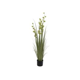 EUROPALMS Pompongras, 122cm - Kunstpflanze