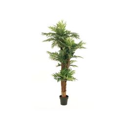 EUROPALMS Areca Palme, Kunstpflanze, 170cm
