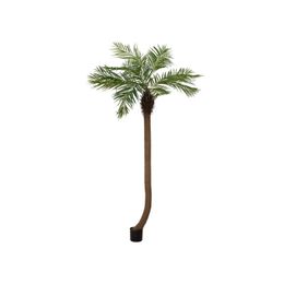EUROPALMS Phönixpalme luxor gebogen, Kunstpflanze,