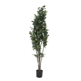 EUROPALMS Schefflera, 120cm - Kunstpflanze