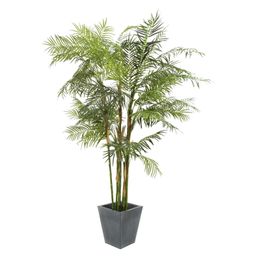 EUROPALMS Cycusrohrpalme, 280cm - Kunstpflanze