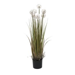 EUROPALMS Pusteblume, 107cm - Kunstpflanze
