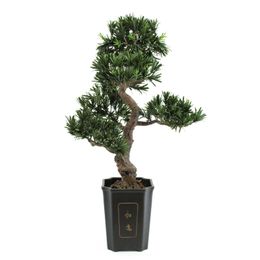 EUROPALMS Bonsai Podocarpus, 80cm - Kunstpflanze