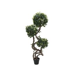 EUROPALMS Ficus Multi Spiralstamm, 160cm - Kunstpflanze