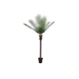 EUROPALMS Ph&ouml;nix deluxe, Kunstpalme 220cm
