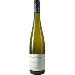 Weingut Bruno Schreieck Sauvignon Blanc 2025 Trocken - Pfalz &ndash; Wei&szlig;wein Qualit&auml;tswein