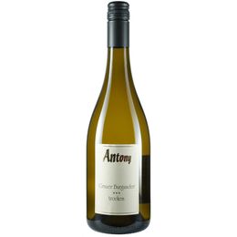 Weingut Antony ***Liebfrauenberg*** Grauer Burgunder Grauburgunder 2022 Trocken - He&szlig;locher Liebfrauenberg Rheinhessen &ndash; Wei&szlig;wein Sp&auml;tlese