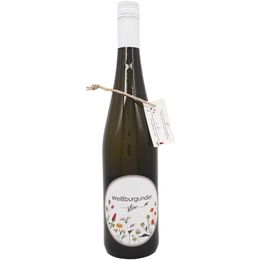 Weingut Grillmaier Bioweing&auml;rtnerei Slow Wei&szlig;burgunder 2019 Trocken - Nieder&ouml;sterreich &ndash; Wei&szlig;wein Qualit&auml;tswein