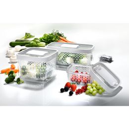 OXO Greensaver Frischhaltebox, 1,5 Liter
