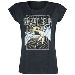 Led Zeppelin Icarus Colour T-Shirt charcoal in XXL