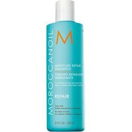 Moroccanoil Haarpflege Pflege Moisture Repair Shampoo