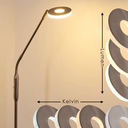 hofstein Gulkana Stehleuchte LED Nickel-Matt, 1-flammig, Farbwechsler