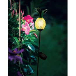 Eglo Leuchten Eglo ANANAS Solarleuchte LED Schwarz, 1-flammig