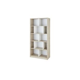 Standregal Cariba - holzfarben - 90 cm - 199 cm - cm 38,0 - Sconto