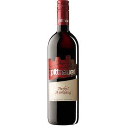Weingut Erich & Birgit Pittnauer Herbstausklang Cuv&eacute;e 2020 Lieblich - Burgenland &ndash; Rotwein Landwein