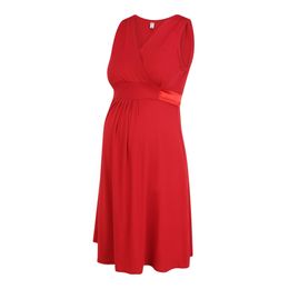 Bebefield Umstand Kleid 'Lauren' Damen Gr&ouml;&szlig;e 36 rot Winterkleid
