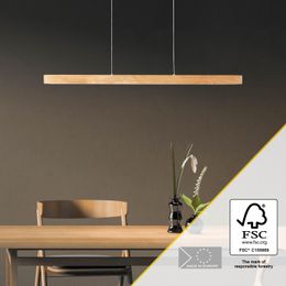 BRILLIANT LEUCHTEN Brilliant Ainara Pendelleuchte LED Holz hell, Schwarz, 1-flammig
