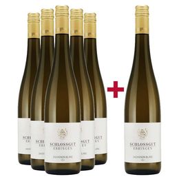 Schlossgut Ebringen 5+1 Aktion "S" Sauvignon Blanc 2018 Trocken - Baden &ndash; Probierpaket Qualit&auml;tswein