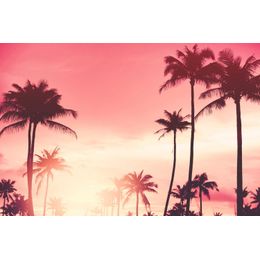 Acrylglasbild queence "Palmen im Sonnenuntergang" Bilder Gr. B/H/T: 150 cm x 100 cm x 2,4 cm, rot Acrylglasbilder