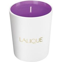 Lalique Kollektionen Les Compositions Parfumées Electric PurpleCandle