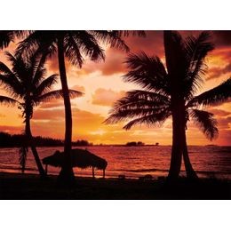 papermoon Fototapete "Palm Beach at Dusk" Tapeten Gr. B/L: 5 m x 2,8 m, Bahnen: 10 St., bunt (mehrfarbig) Fototapeten