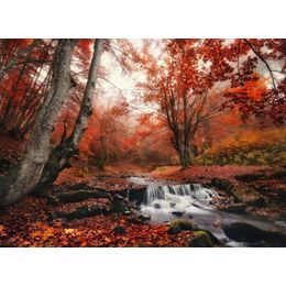 papermoon Fototapete "Foggy Forest Creek" Tapeten Gr. B/L: 5 m x 2,8 m, Bahnen: 10 St., bunt (mehrfarbig) Fototapeten