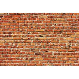 papermoon Fototapete "Red Brick Wall" Tapeten Gr. B/L: 5 m x 2,8 m, Bahnen: 10 St., bunt (mehrfarbig) Fototapeten