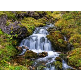 papermoon Fototapete "Mountain Stream in Dolomites" Tapeten Gr. B/L: 4 m x 2,6 m, Bahnen: 8 St., bunt (mehrfarbig) Fototapeten