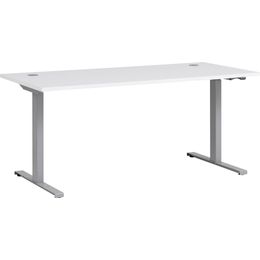 Schreibtisch Schildmeyer "Serie 1600" Tische Gr. B/H/T: 160 cm x 70,5 cm x 75 cm, weiß (kreideweiß, silber, kreideweiß) Schreibtische