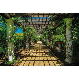 papermoon Fototapete "Garden Walkway" Tapeten Gr. B/L: 5 m x 2,8 m, Bahnen: 10 St., bunt (mehrfarbig) Fototapeten