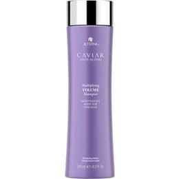 Alterna Caviar Volume Multiplying Volume Shampoo