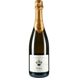 Sch&ouml;psdau by Pirmin Wilhelm Riesling 2023 Trocken - Pfalz &ndash; Perl- & Schaumwein Sekt b.A.