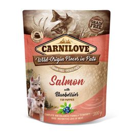 Carnilove Dog Pouch Pate Lachs & Blaubeeren für Welpen und Junghunde 12 x 300g Hundefutter