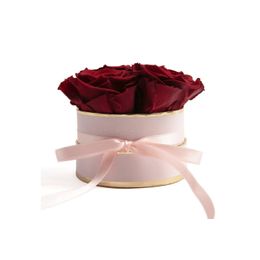 Kunstblume Infinity Rosenbox rosa rund 4 konservierte Rosen Geschenk für Frauen Rose