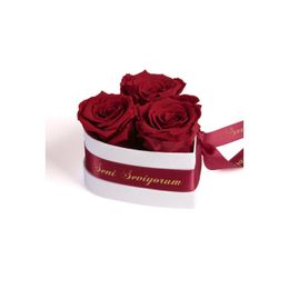 Kunstblume Seni Seviyorum Infinity Rosenbox Herz 3 echte Rosen konserviert Rose