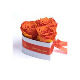 Kunstblume Seni Seviyorum Infinity Rosenbox Herz 3 echte Rosen konserviert Rose