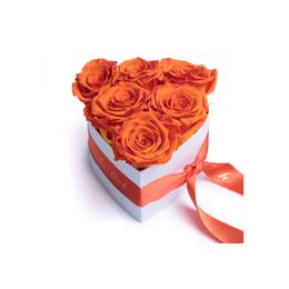 Kunstblume Infinity Rosenbox Herz 6 ewige Rosen Ich liebe Dich Geschenk Frau Rose