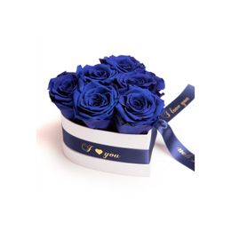 Kunstblume Infinity Rosenbox Herz 6 ewige Rosen I Love You Geschenk für Frauen Rose