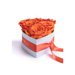Kunstblume Infinity Rosenbox Herz 6 ewige Rosen I Love You Geschenk für Frauen Rose