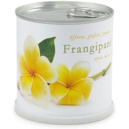 MacFlowers® Anzuchttopf Frangipani Plumeria Blumen in der Dose tropische Schönheit