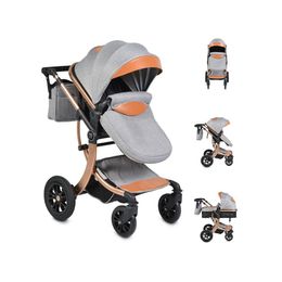 Moni Kombi-Kinderwagen Kombikinderwagen Sofie 2 in 1