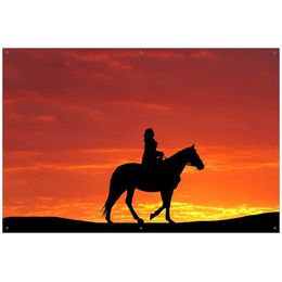 Wallario Sichtschutzzaunmatten Reitersilhouette vor einem Sonnenuntergang