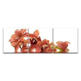 Bilderdepot24 Leinwandbild Orchidee V